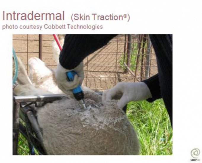 Breech modification - FlyBoss