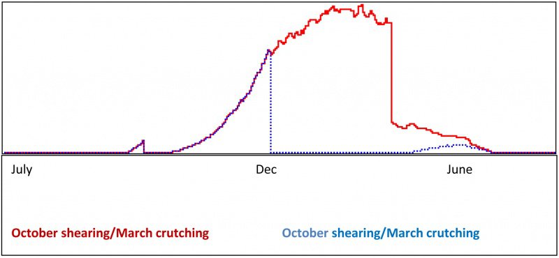 Flystrike protection - jetting and spray on products - FlyBoss