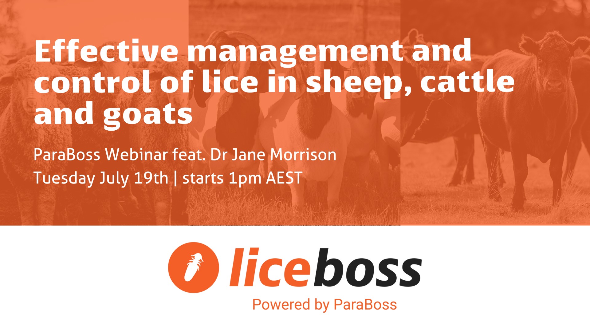 Effective management and control of lice in sheep, cattle and goats ...