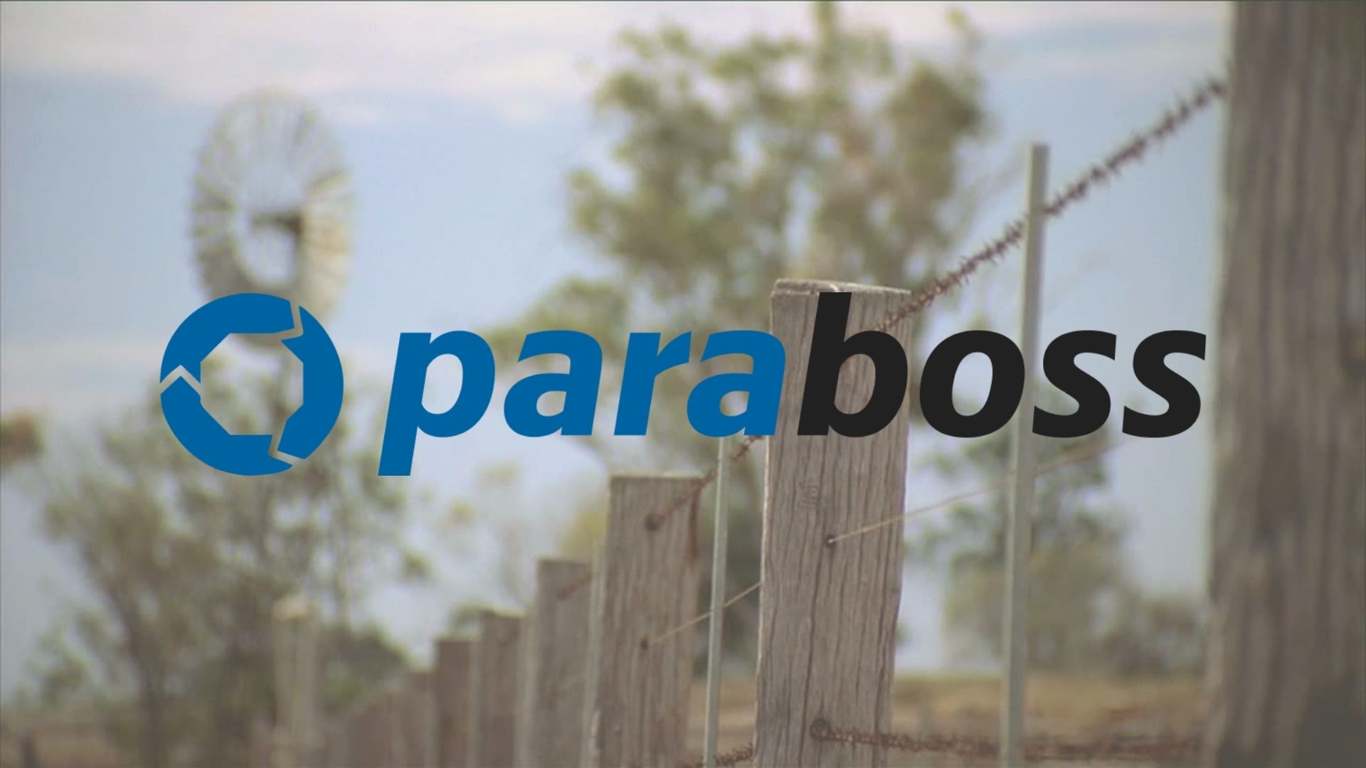 ParaBoss Technical Committee - ParaBoss