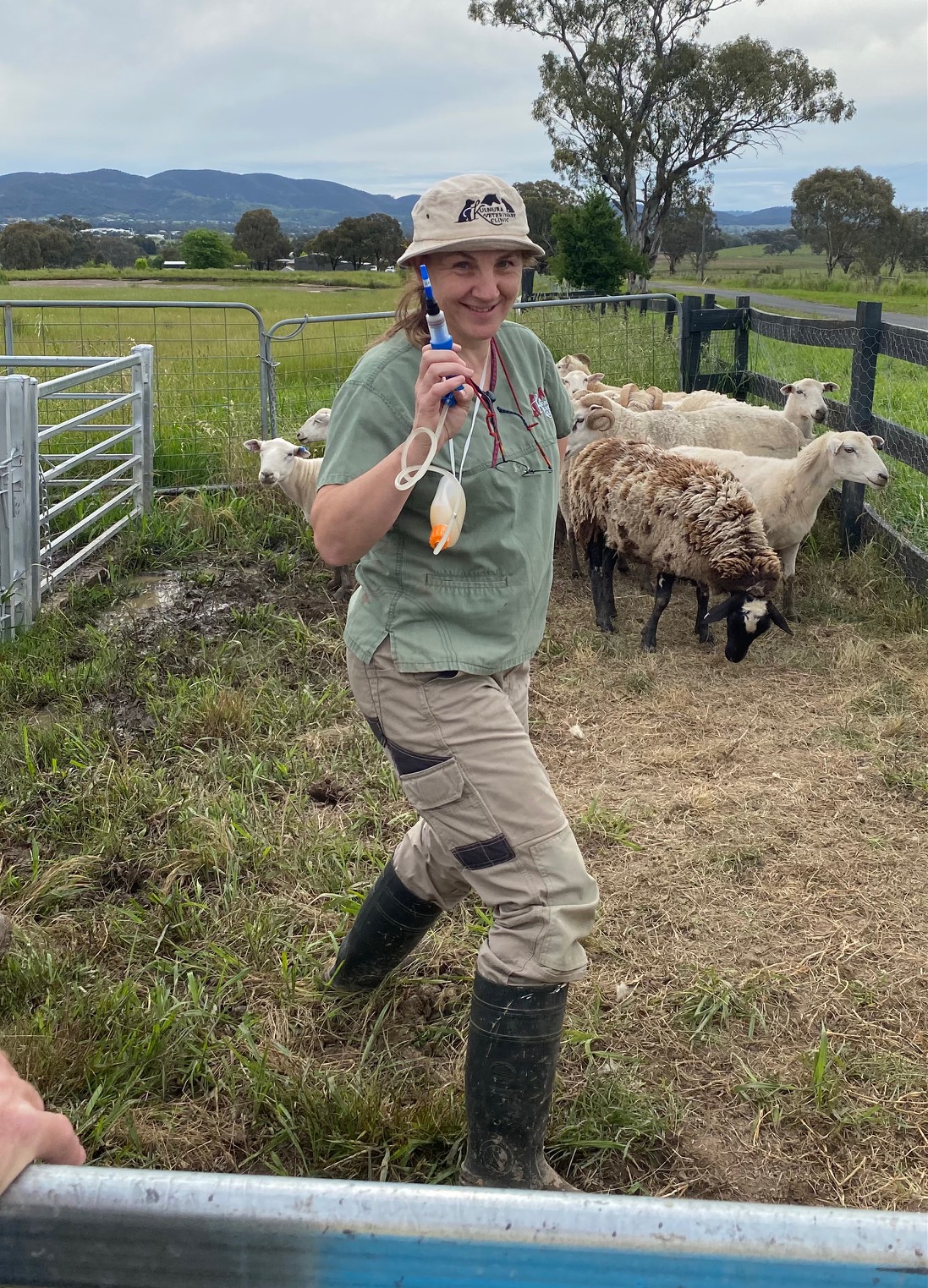 Meet the Current Certified WEC QA Providers - ParaBoss