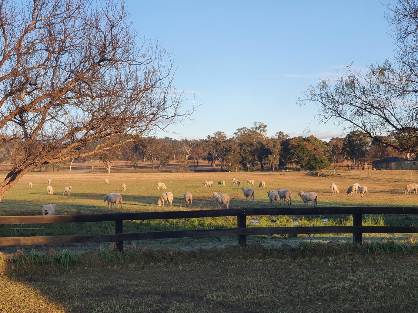 Long-Acting Worm Treatments- the Good, the Bad and the Ghastly - ParaBoss