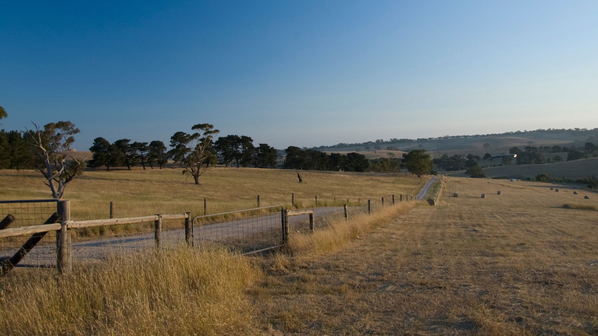 Preparing Low-Risk Paddocks for Sheep - ParaBoss