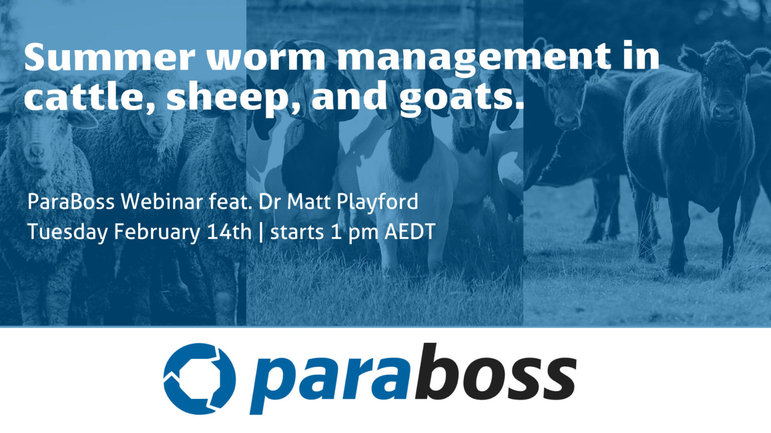 Summer worm management in cattle, sheep, and goats - ParaBoss