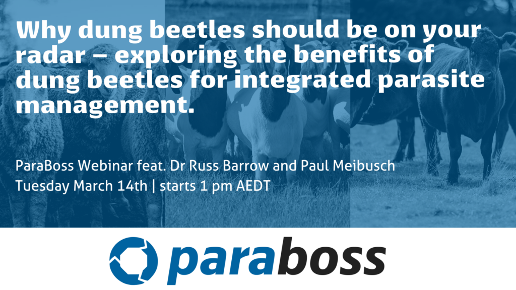 Why dung beetles should be on your radar – exploring the benefits of ...