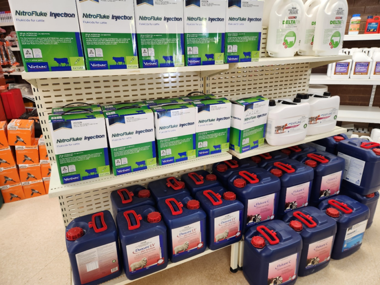 The Good and the Bad- Resistance in Cattle, Goats and Sheep and their ...