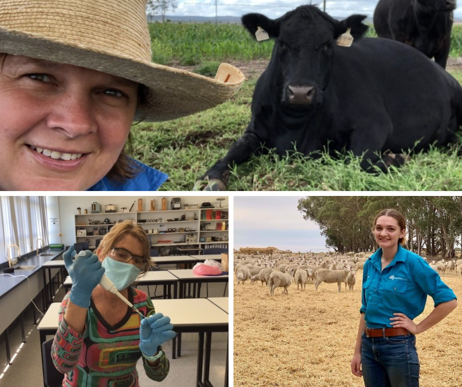 Meet Our Three ParaBoss Course Winners - Steph Nielsen, Lara Caelli and ...