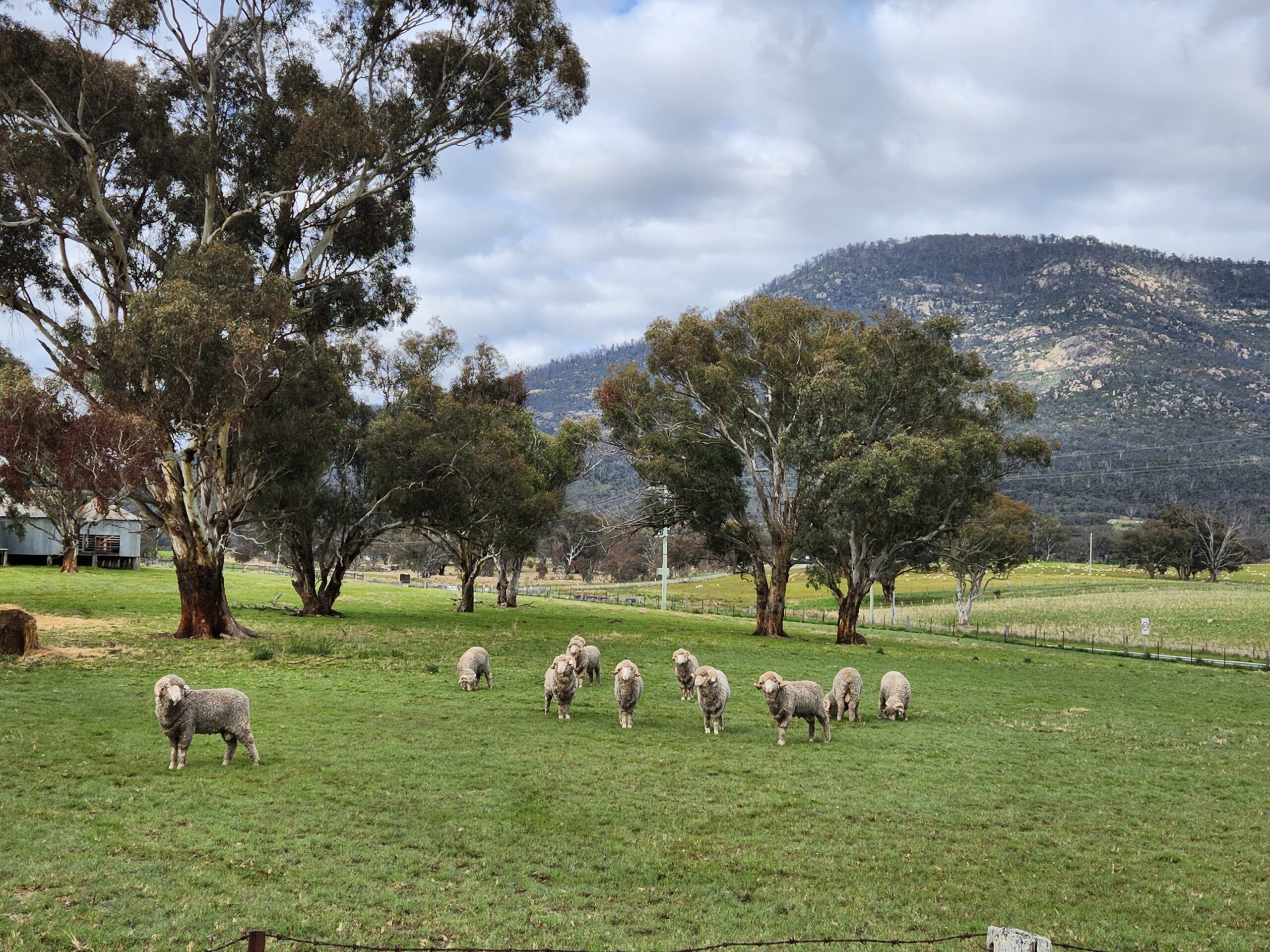 May Seasonal Focus - ParaBoss