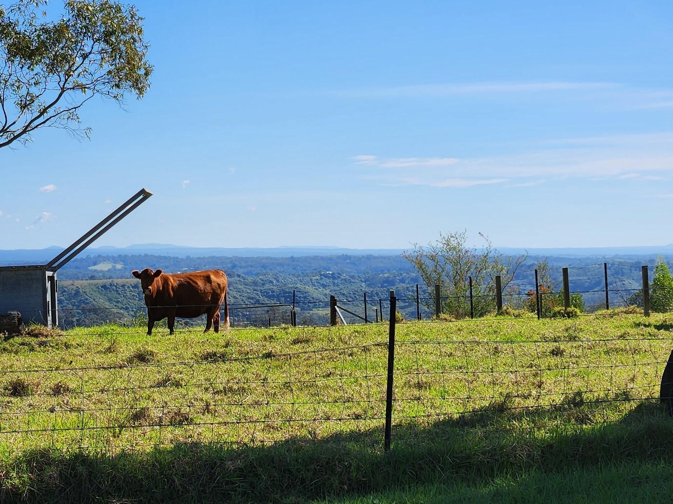 Diagnosing and Dealing With Drench Resistance - ParaBoss