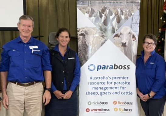 October seasonal focus - ParaBoss