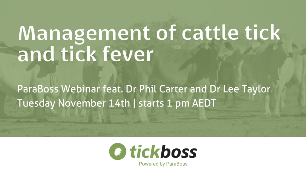 Management of cattle tick and tick fever - ParaBoss