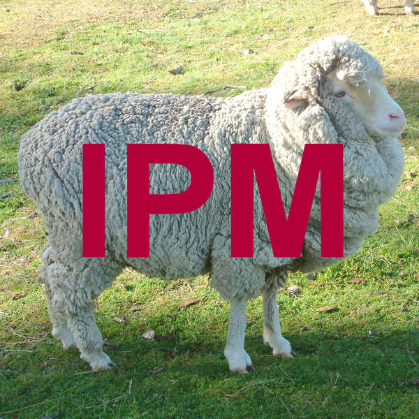 Episode 9 Better control of parasites and extending the life of your ...