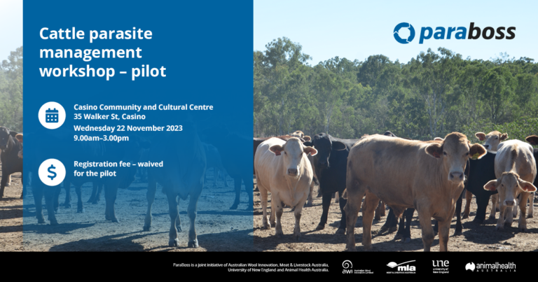 ParaBoss Cattle Workshop - Pilot 1 - ParaBoss