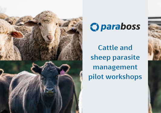 ParaBoss: Leading the Charge in Parasite Management for Livestock ...