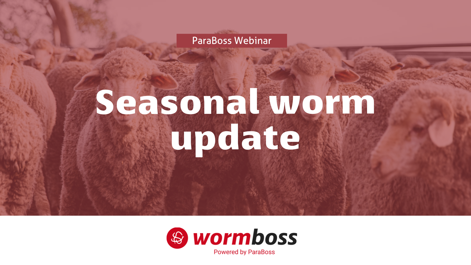 Seasonal Worm Update - ParaBoss