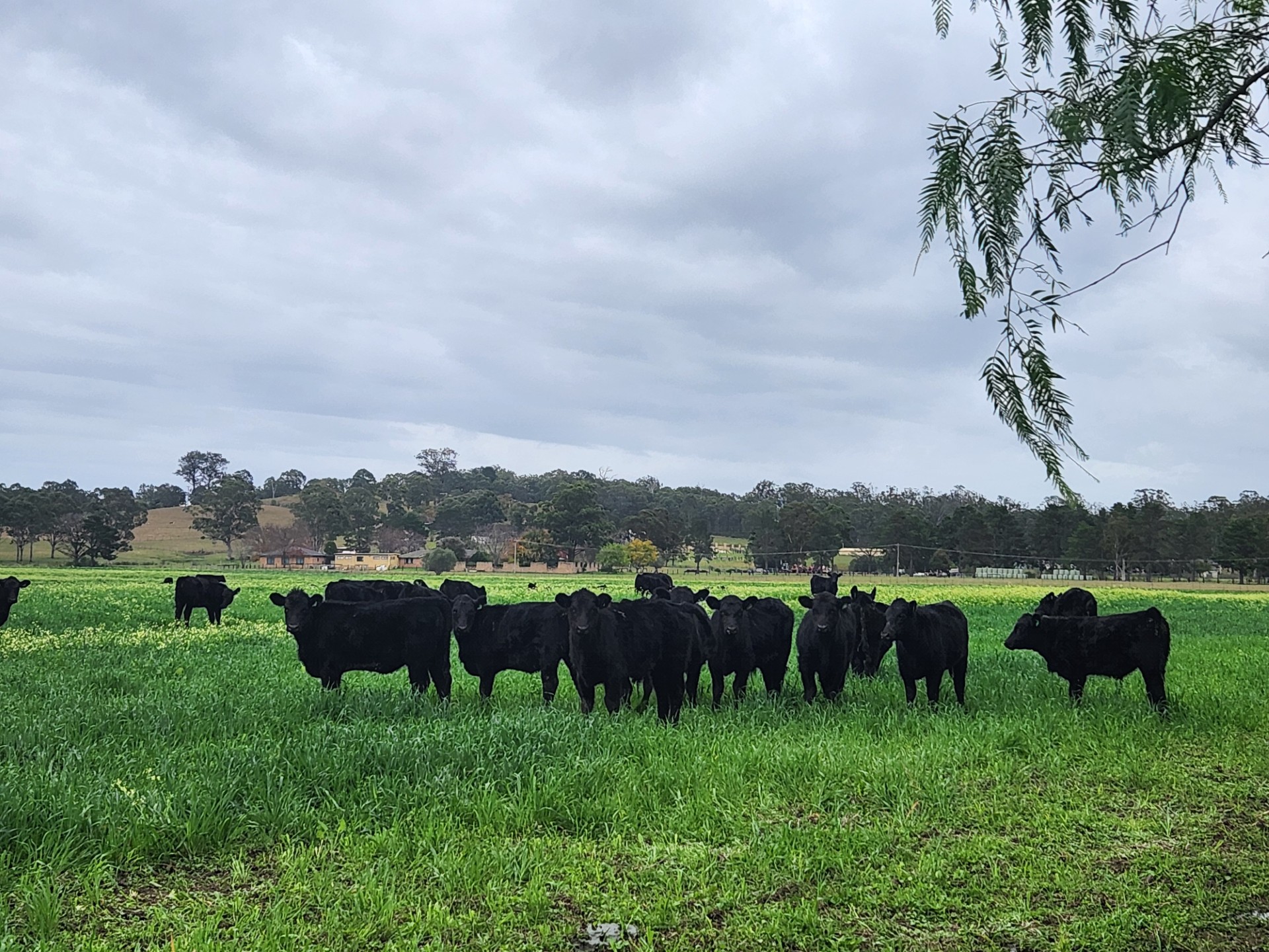 June seasonal focus - ParaBoss