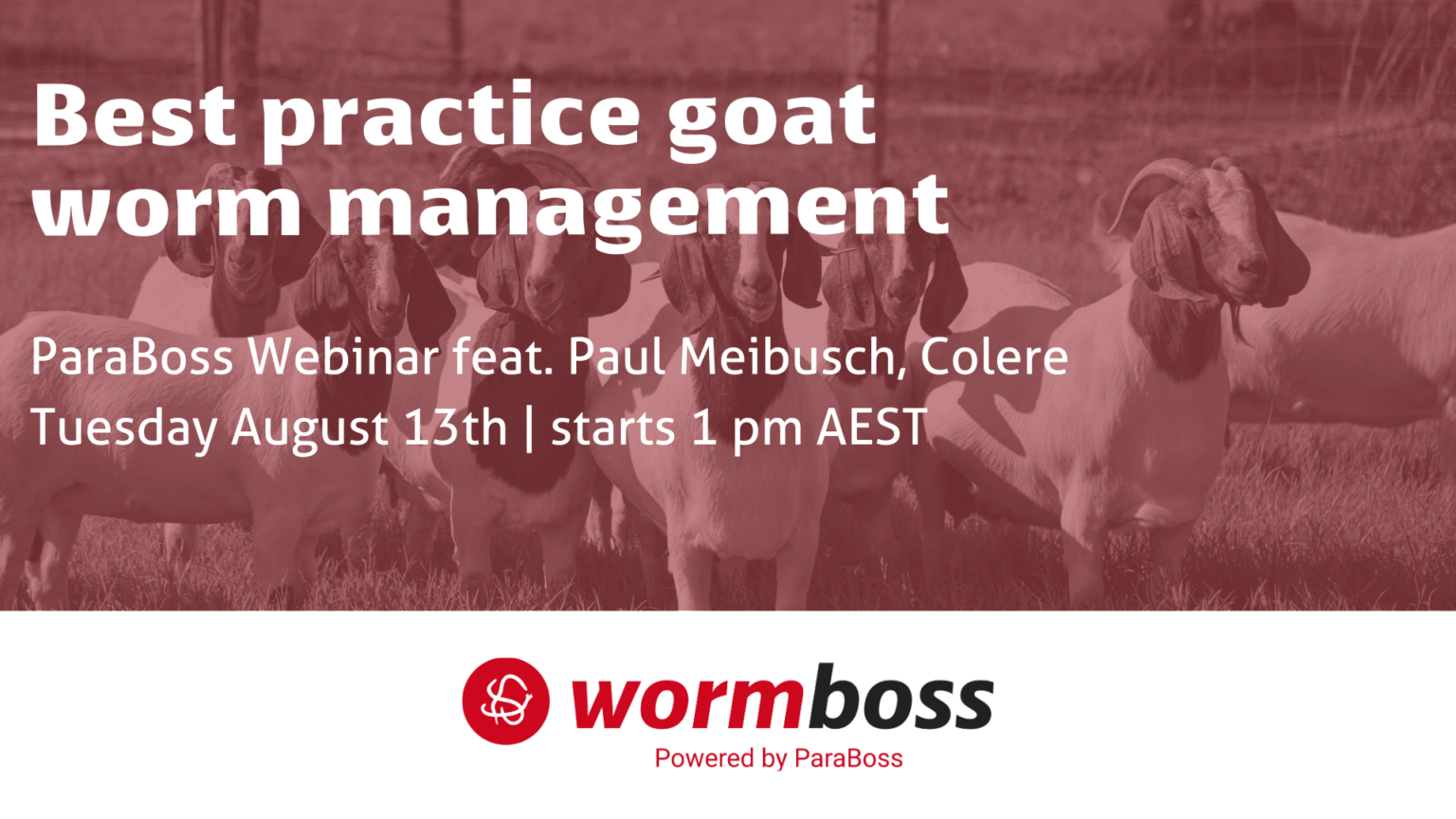 Best practice goat worm management - ParaBoss