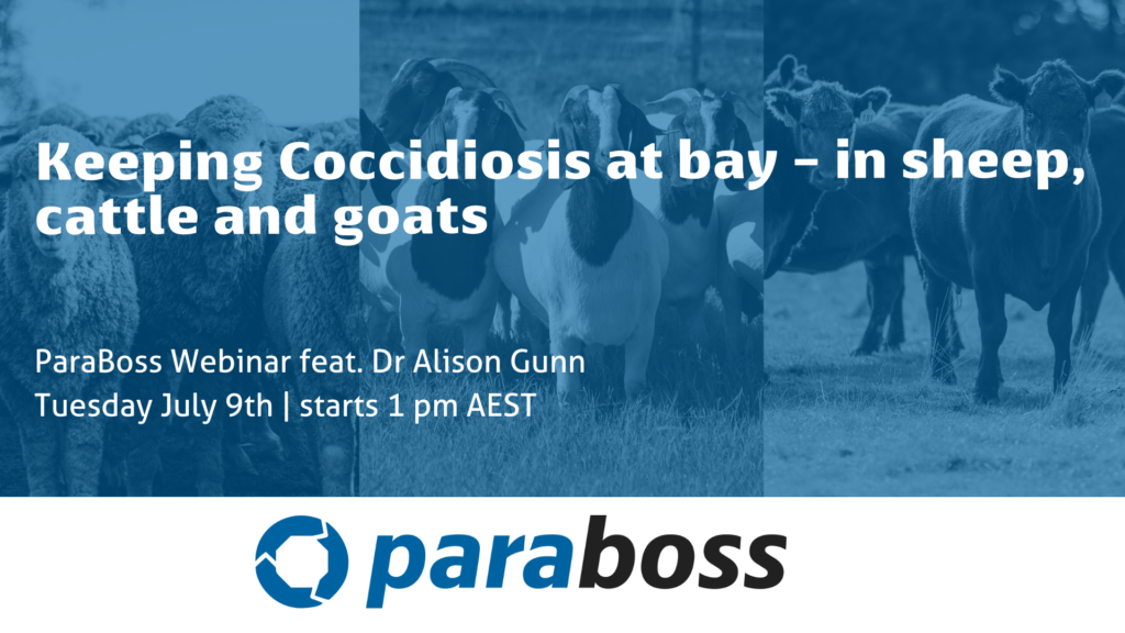 Keeping Coccidiosis at bay - in sheep, cattle and goats - ParaBoss